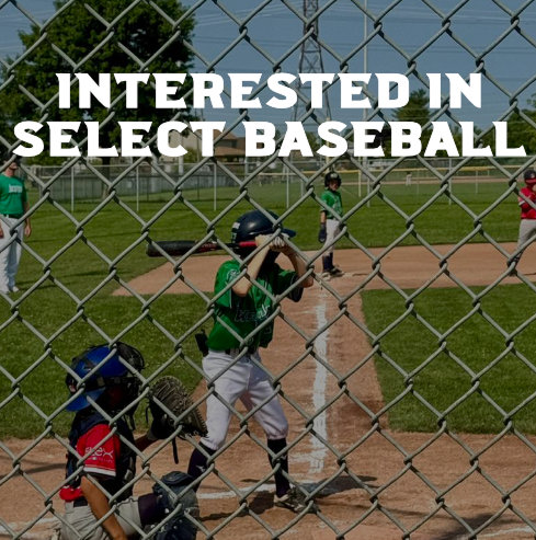 Welland Minor Baseball Association Inc. : Website by RAMP InterActive